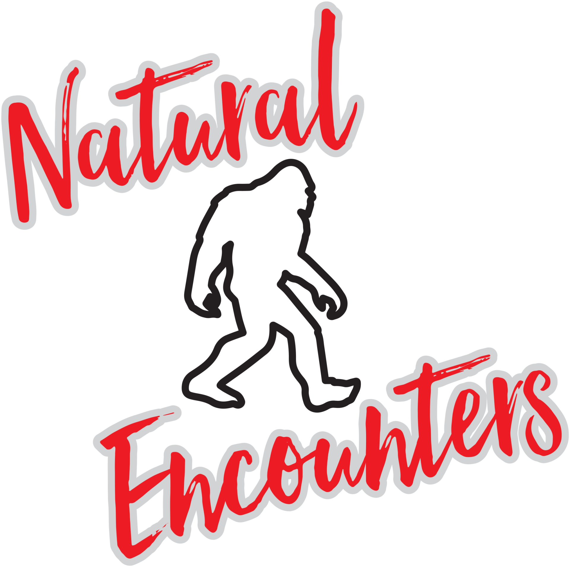 Natural Encounters LLC | Countertop Dealer | Appleton, WI | Green Bay WI