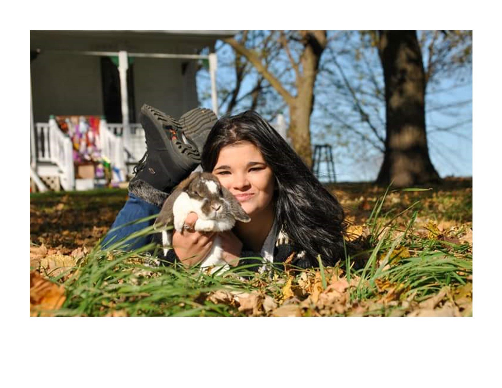 American Mini Lop Rabbit Club
