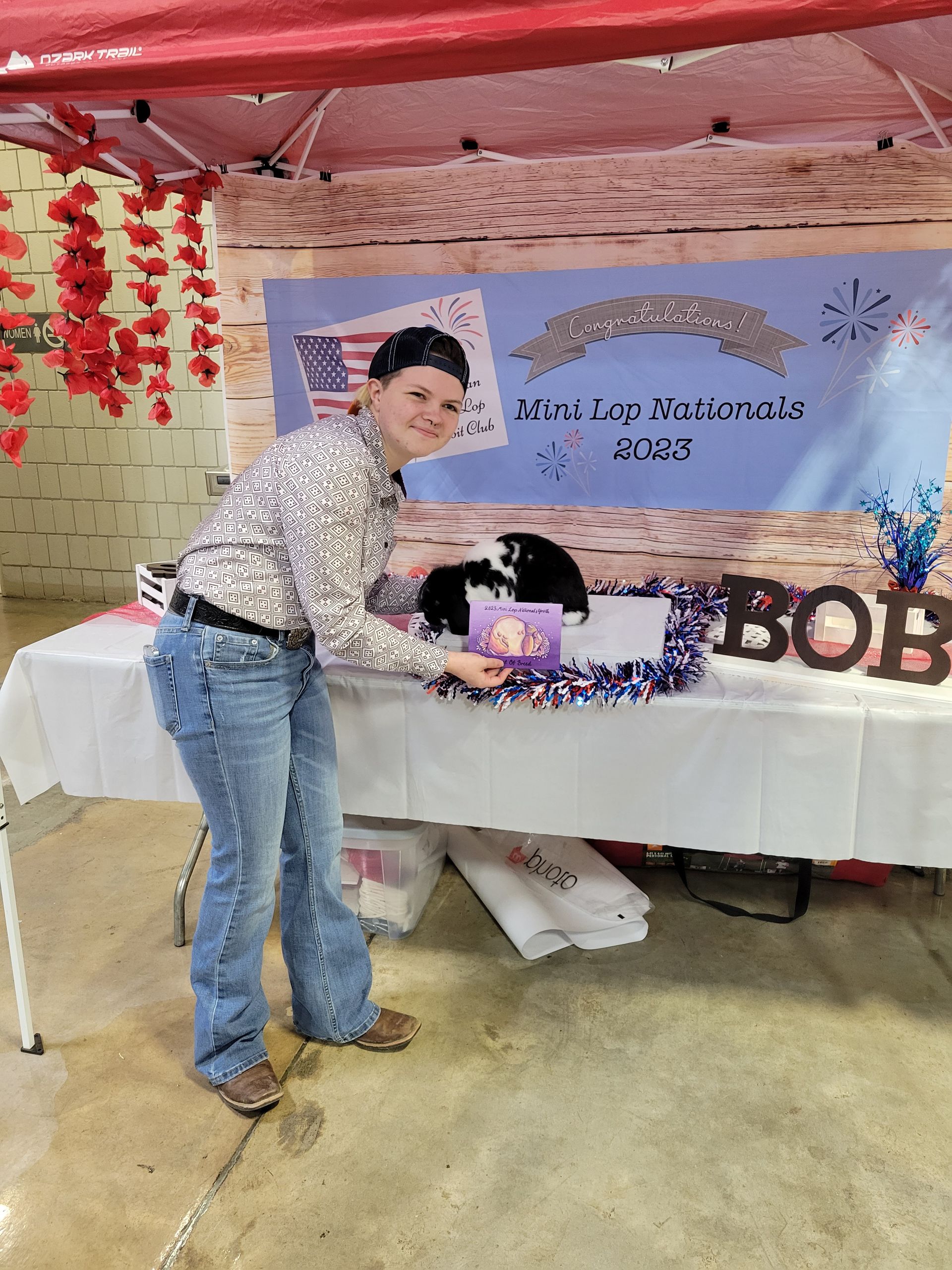 American Mini Lop Rabbit Club