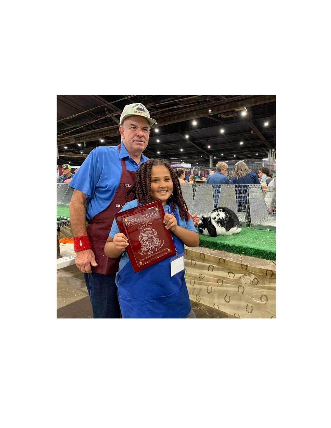 American Mini Lop Rabbit Club