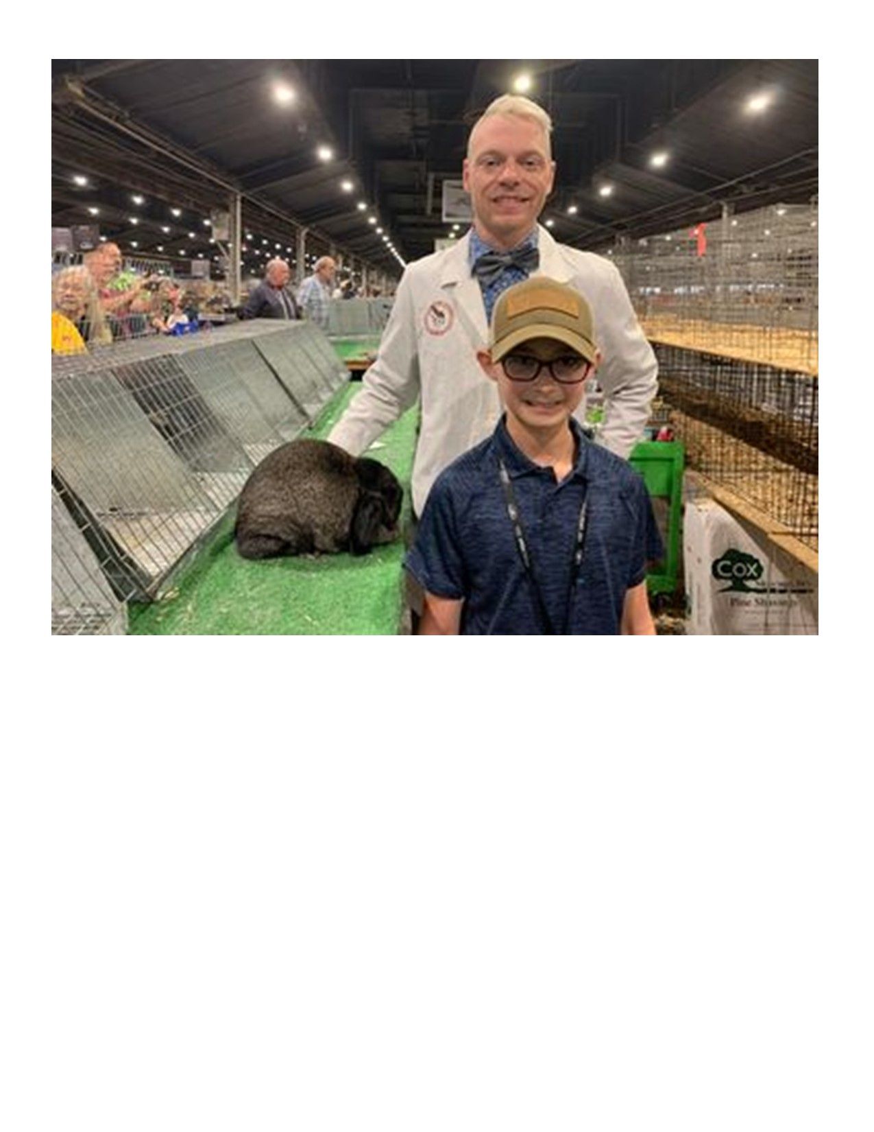 American Mini Lop Rabbit Club