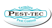 Pest Control Anderson, SC | Seneca, SC | Pest-Tec