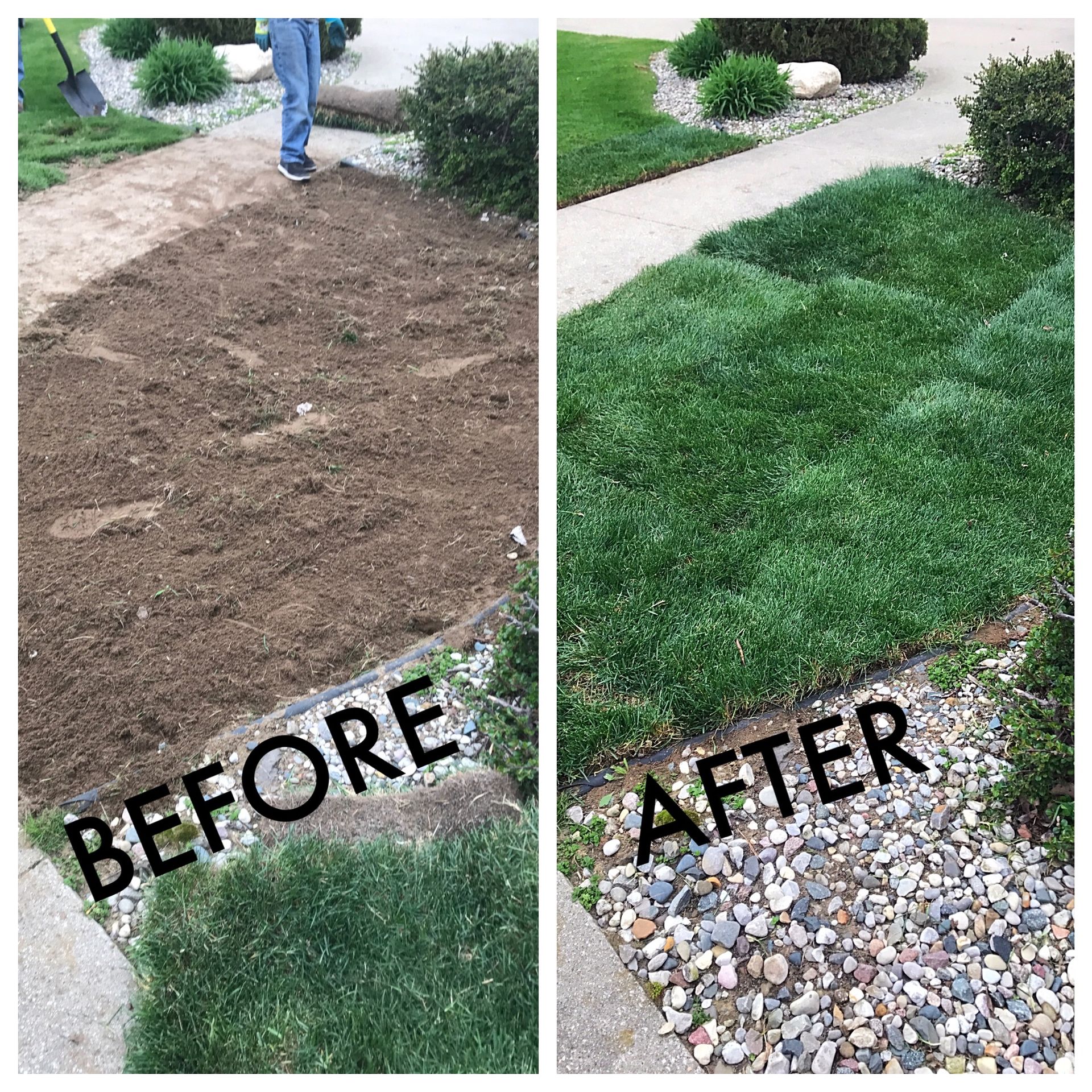Sod Installation and Care Tips | Serving All of MI