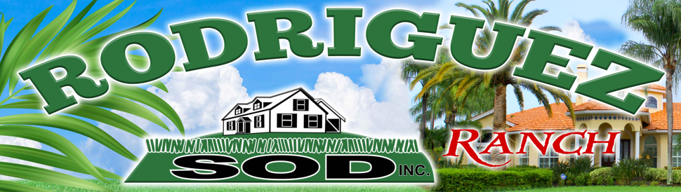 Rodriguez Sod Ranch Inc | Lawn Services | Tampa, FL