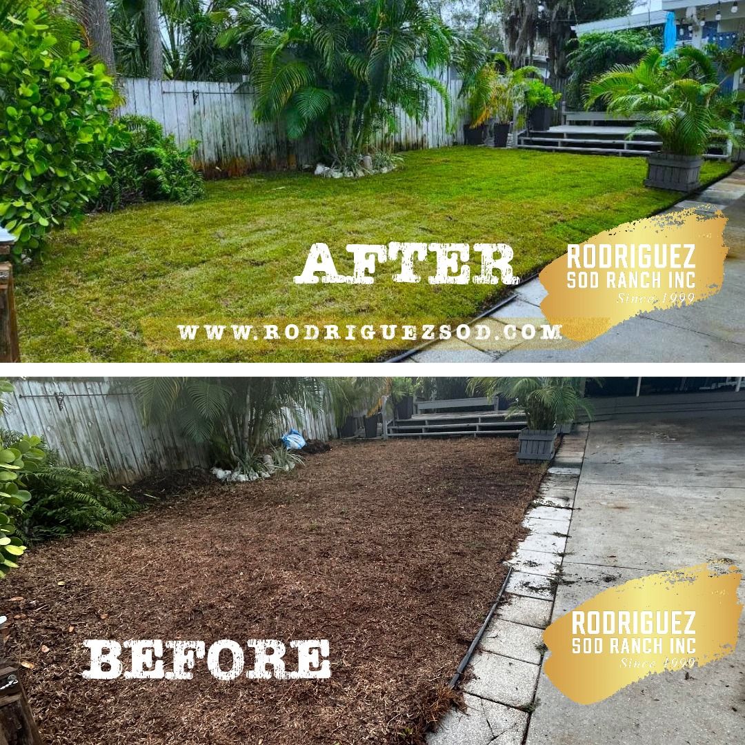 Project Gallery | Rodriguez Sod Ranch Inc | Tampa, FL