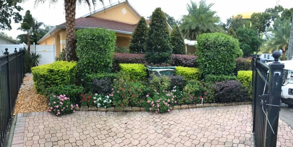 Project Gallery | Rodriguez Sod Ranch Inc | Tampa, FL
