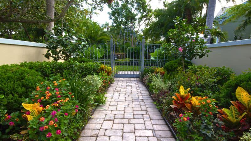 Project Gallery | Rodriguez Sod Ranch Inc | Tampa, FL