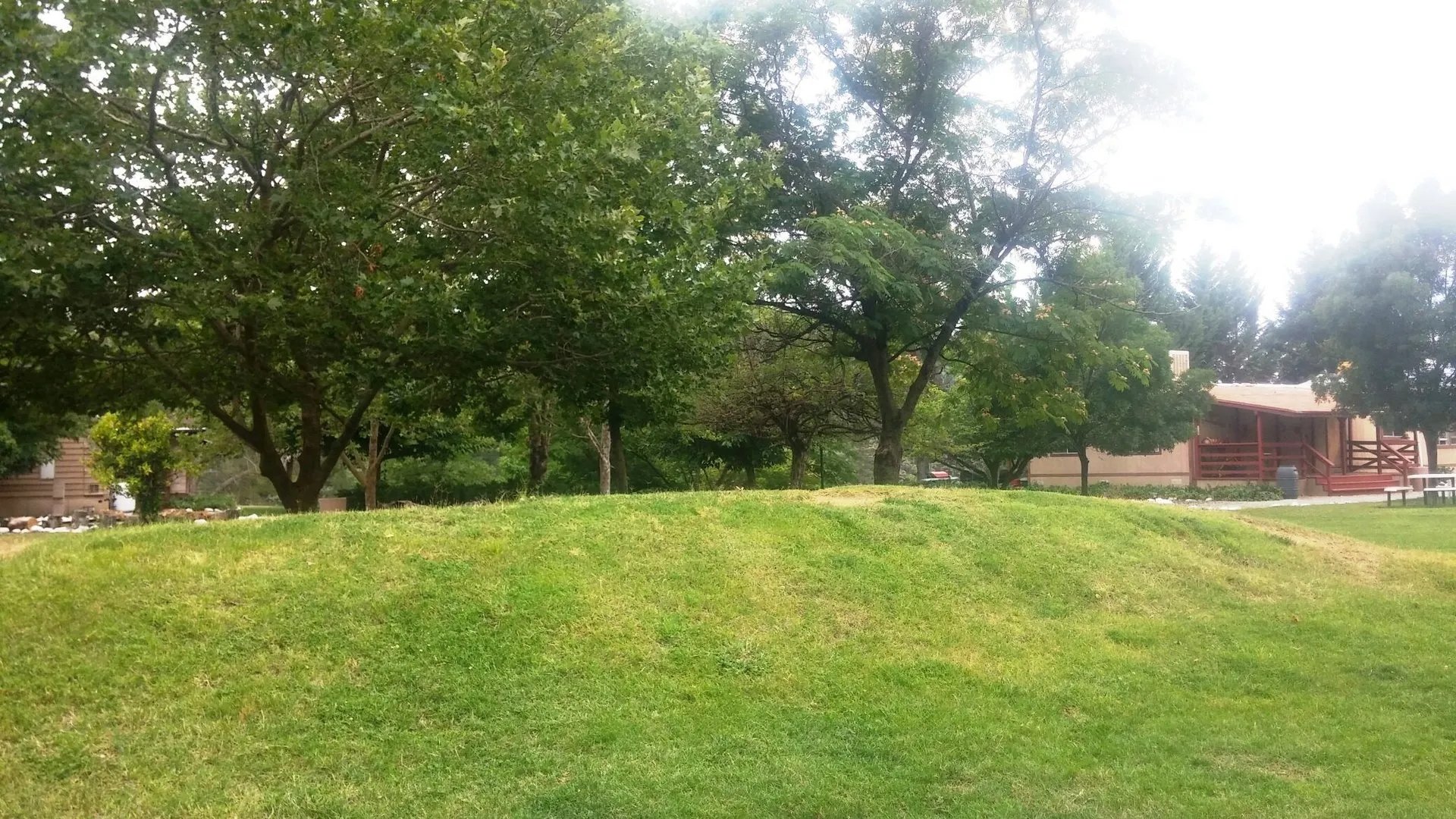 Photo Gallery | Coram Ranch