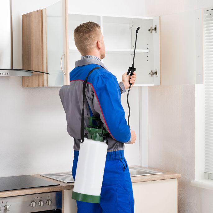 Pest Control Services | Barnes Exterminating | Florence, KY