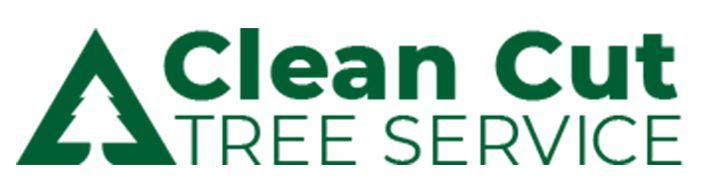 Tree Removal | Clean Cut Tree Service, Inc. | Grayslake, IL