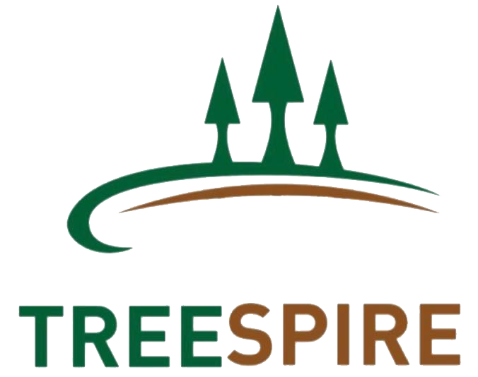 Tree Maintenance Pittsburgh, PA | TreeSpire