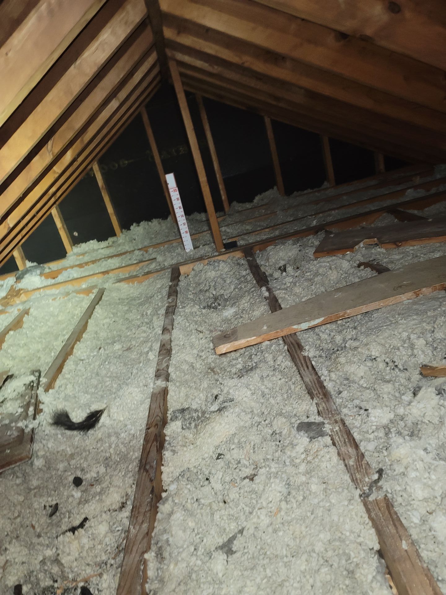 Attic Insulation Services | Southeast Michigan