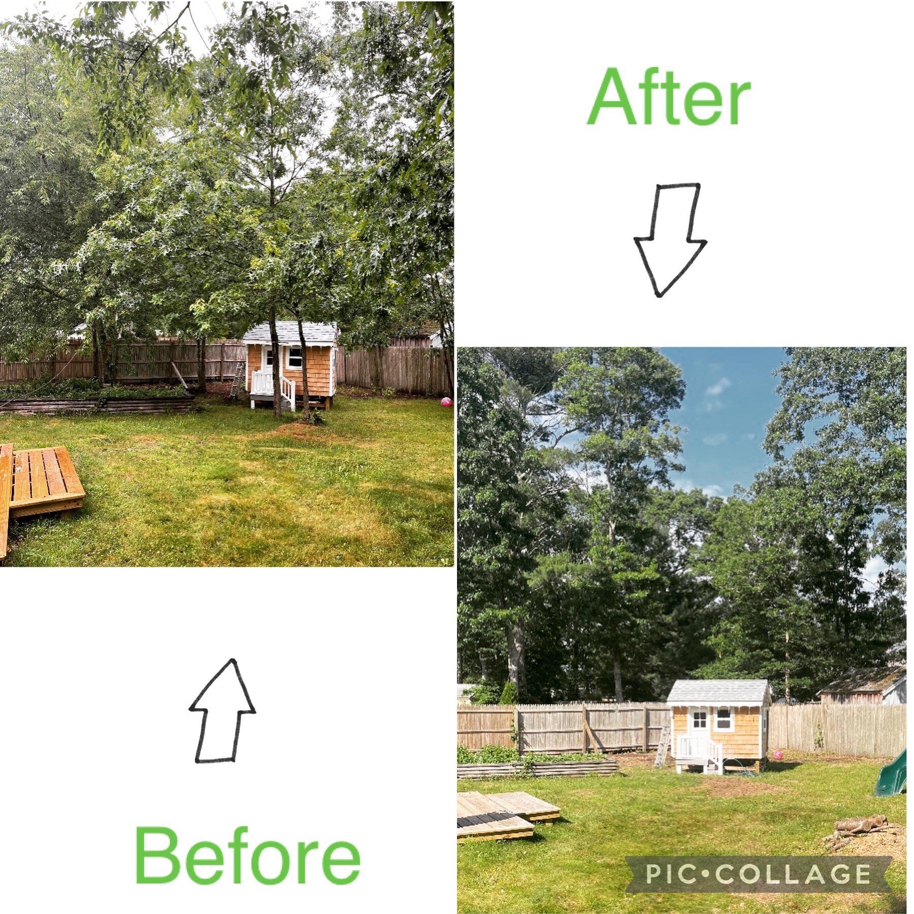 Tree Removal Services Falmouth, MA | Sandwich, MA