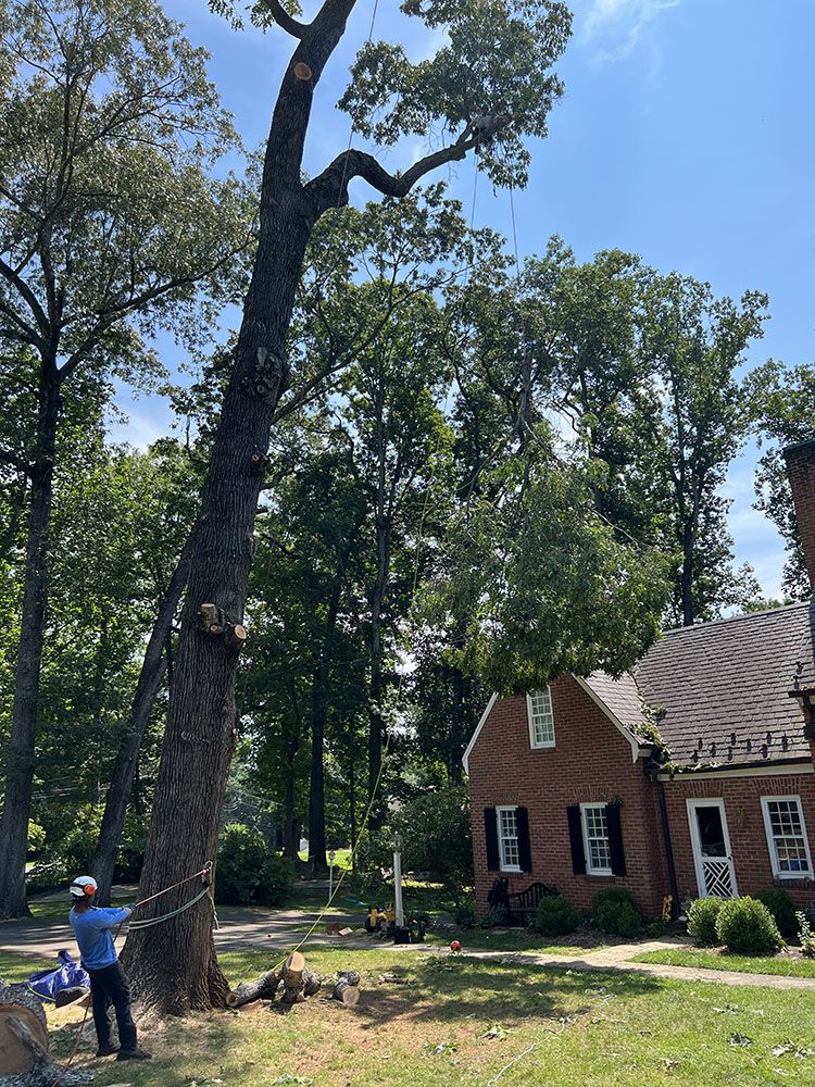 Arborist | Myers Tree Service | Bedford, VA