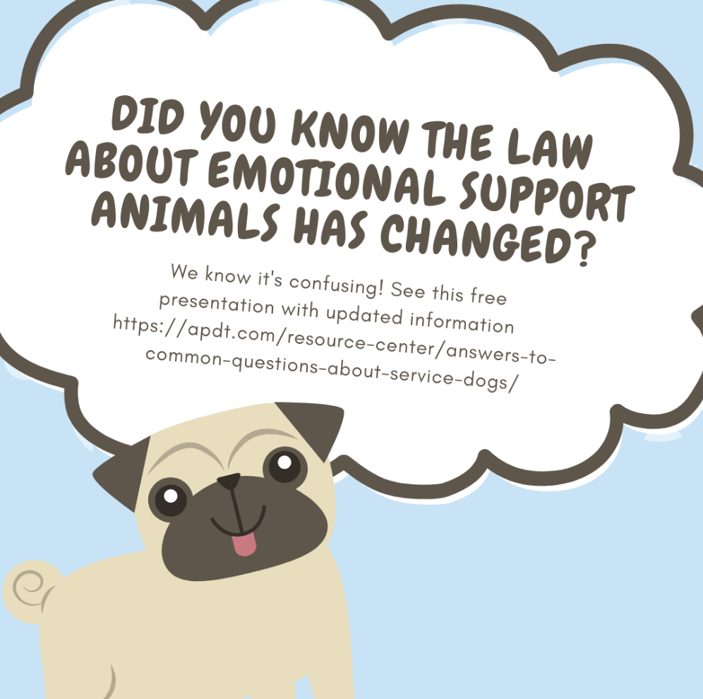 Anxiety Dogs | PTSD Dogs | Hattiesburg, MS