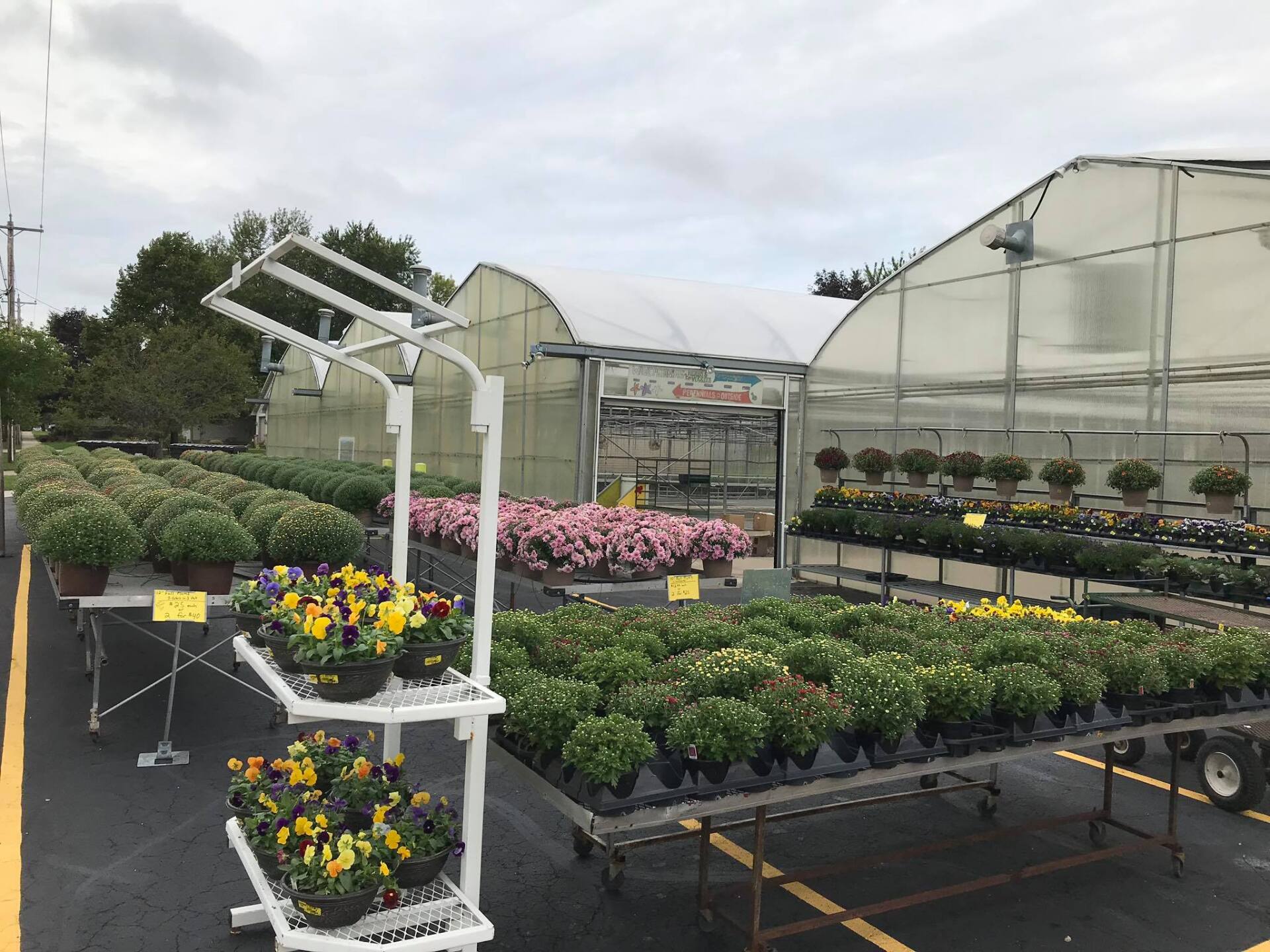 Robinson Florist & Greenhouses | Floral Service Kimberly WI