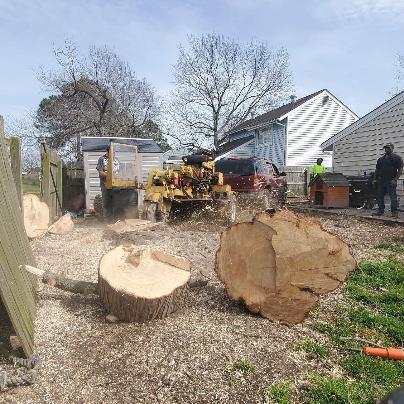 Tree Removal Company Chesapeake, VA | Virginia Beach, VA