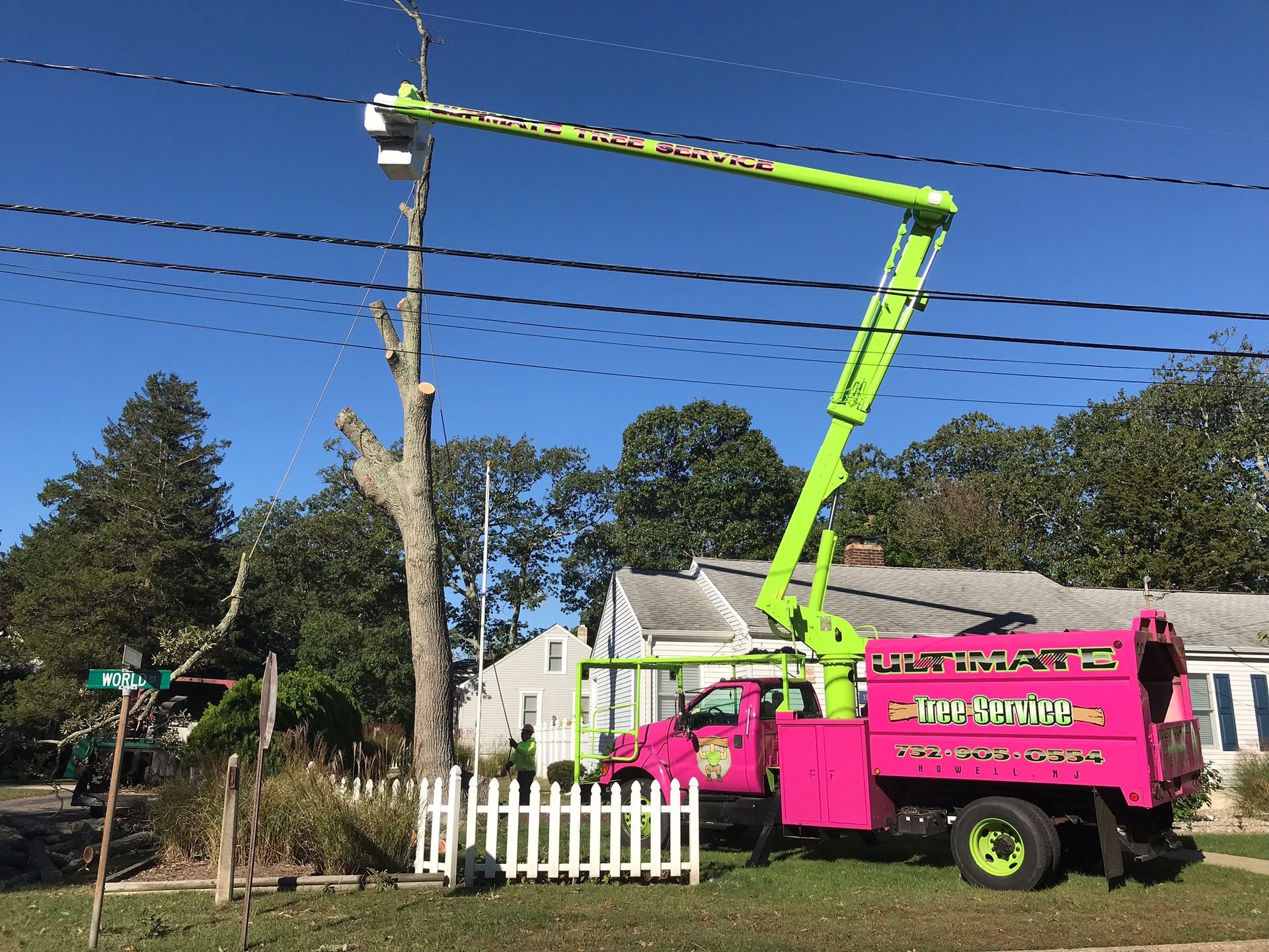 Tree Removal Howell | Millstone | Ultimate Tree Service