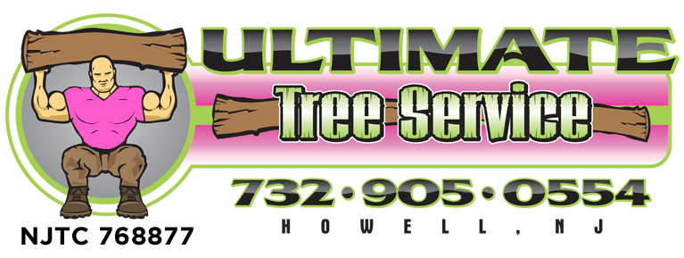 Tree Removal Howell | Millstone | Ultimate Tree Service