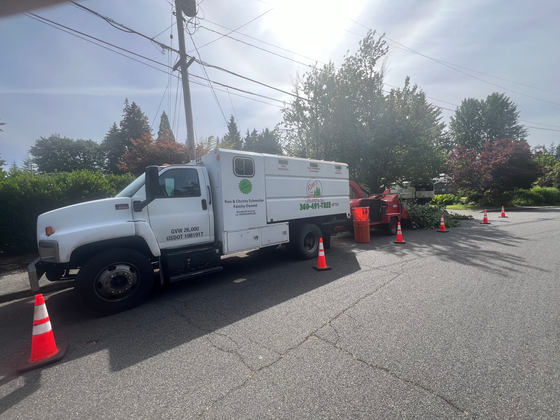 Gallery Of Tree Service | Ron's Stump Removal & Tree Service