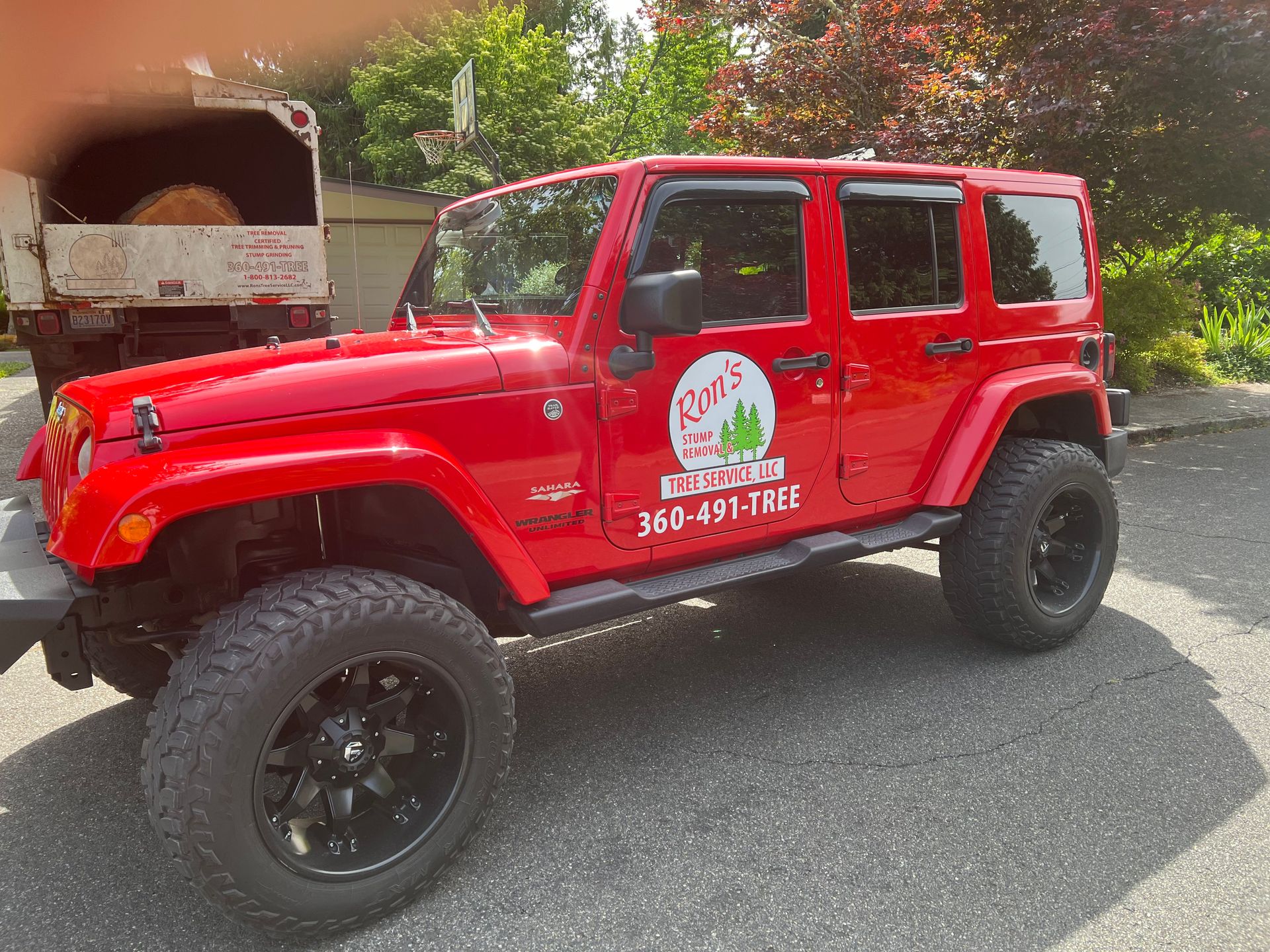 Gallery Of Tree Service | Ron's Stump Removal & Tree Service