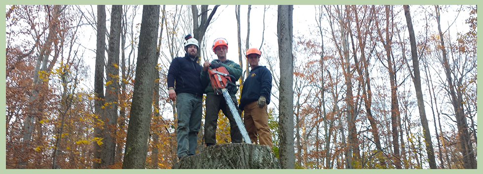 Richard Brown Inc. | Tree Care Service | Pottstown, PA