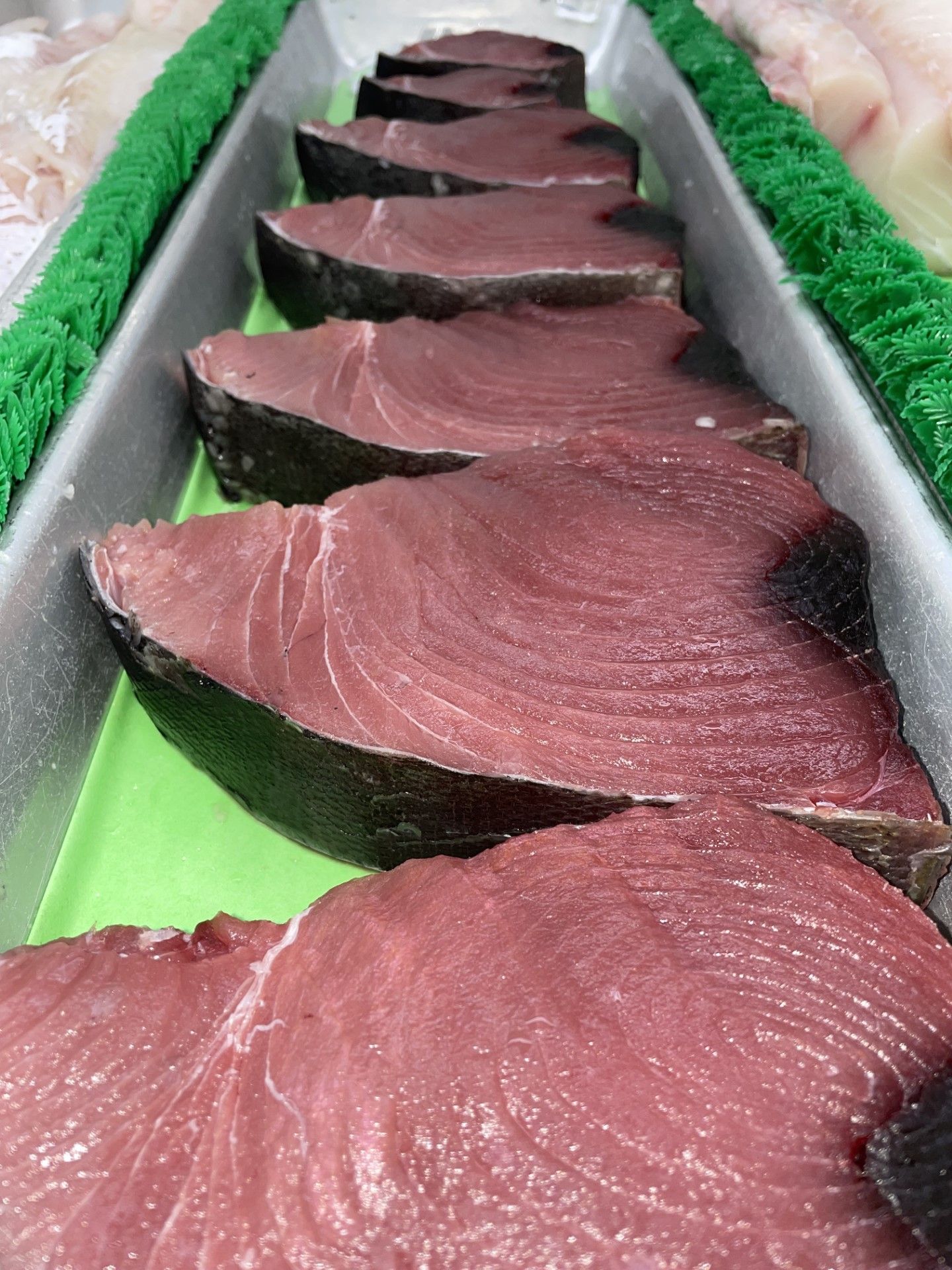 Tuna, Sea Bass and Cod Fish Sales | Wakefield, RI