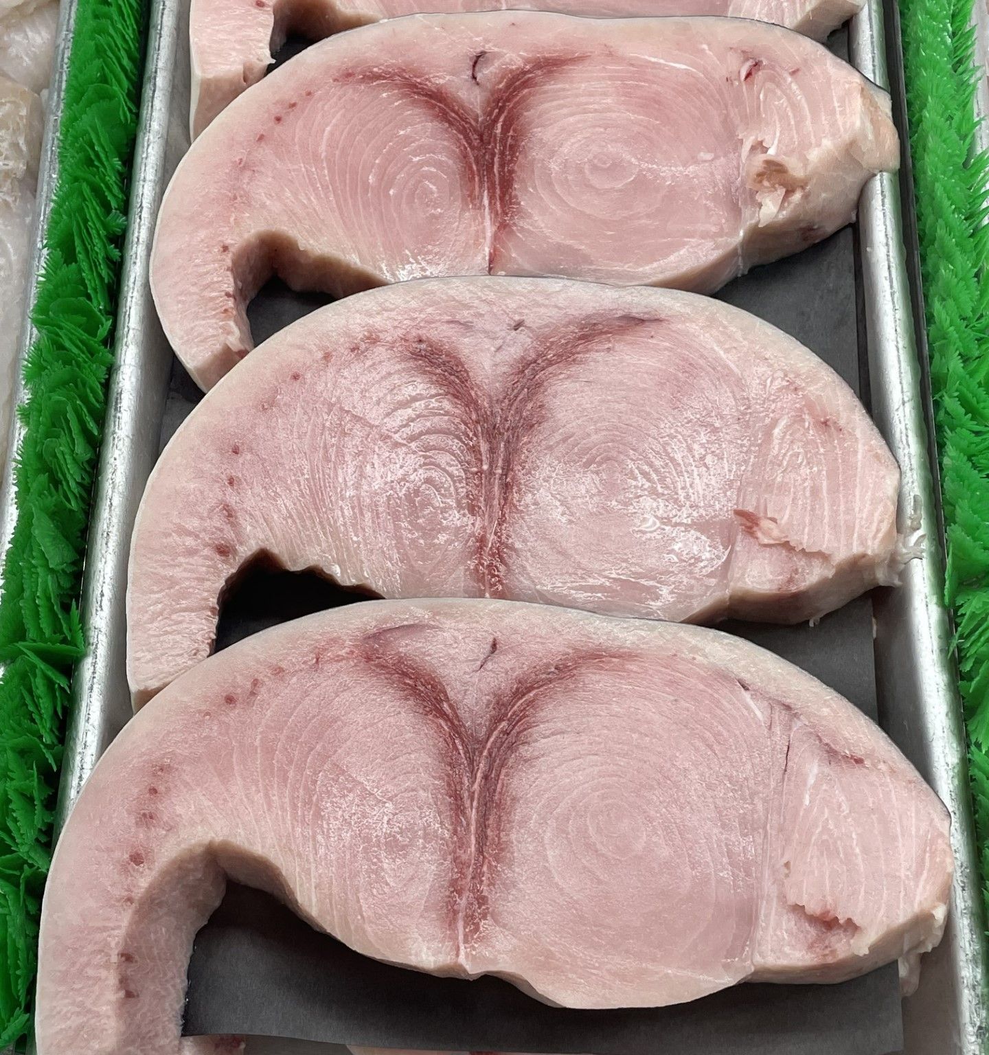 Tuna, Sea Bass and Cod Fish Sales | Wakefield, RI