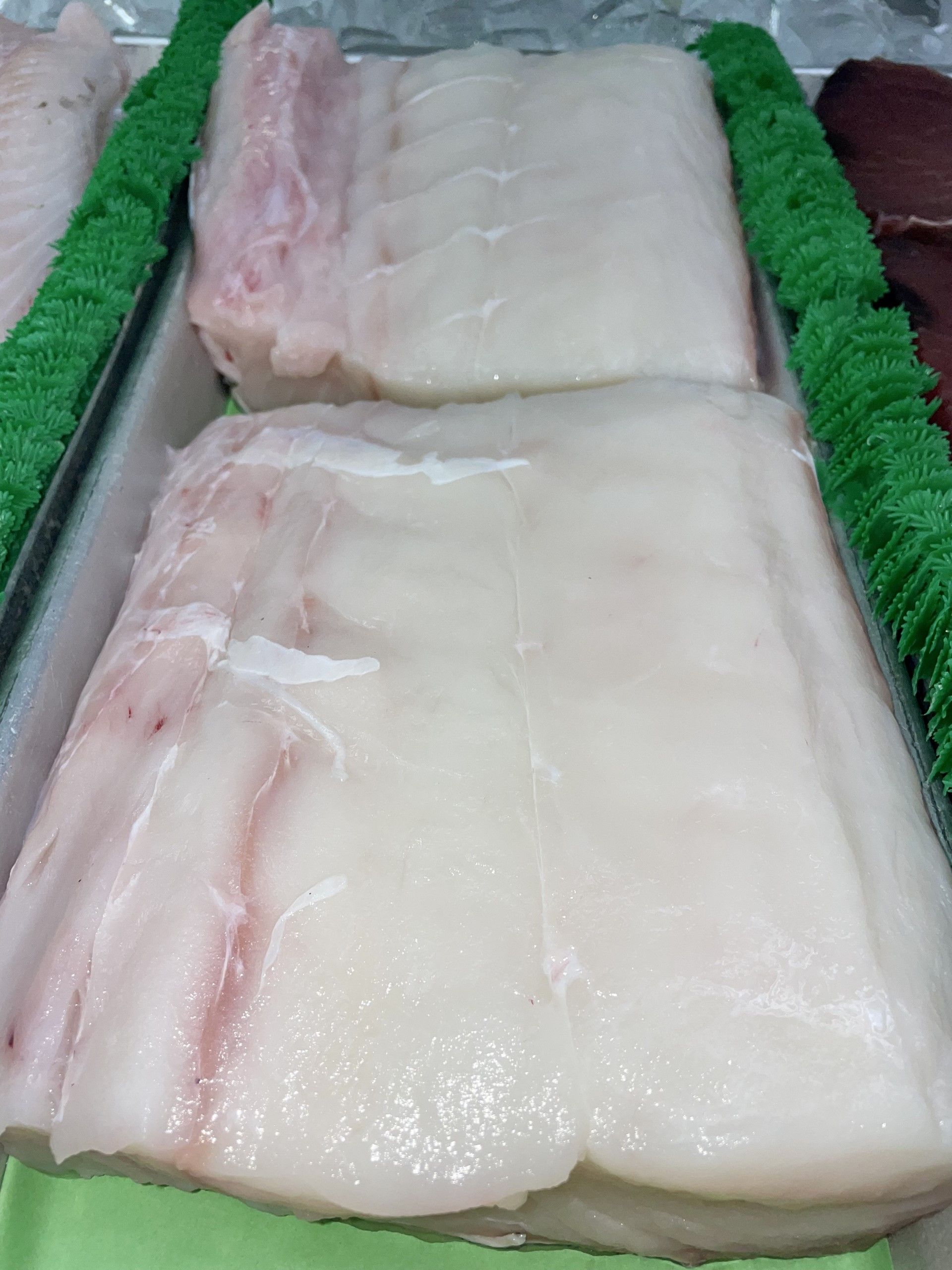 Tuna, Sea Bass and Cod Fish Sales | Wakefield, RI