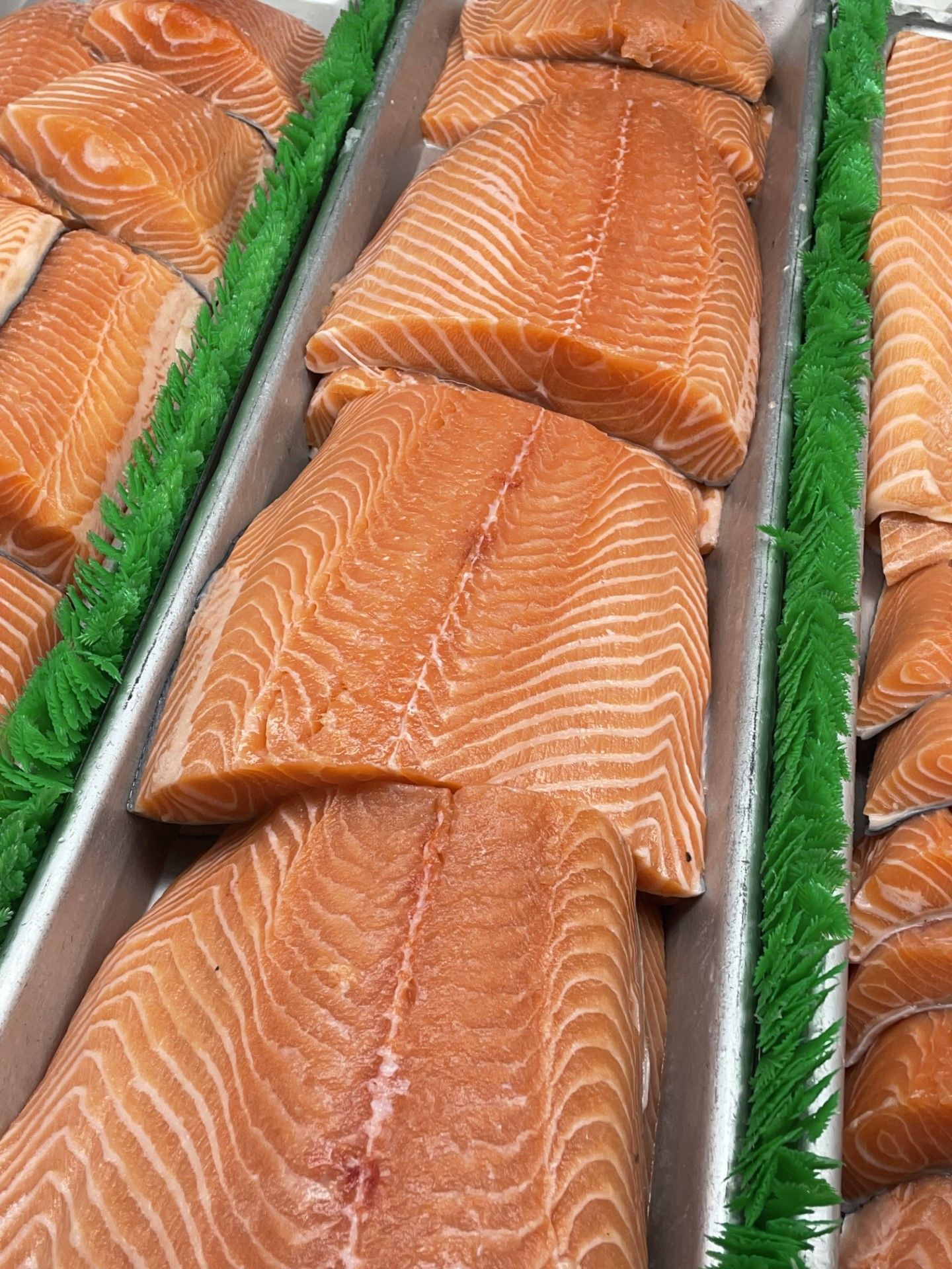 Tuna, Sea Bass and Cod Fish Sales | Wakefield, RI