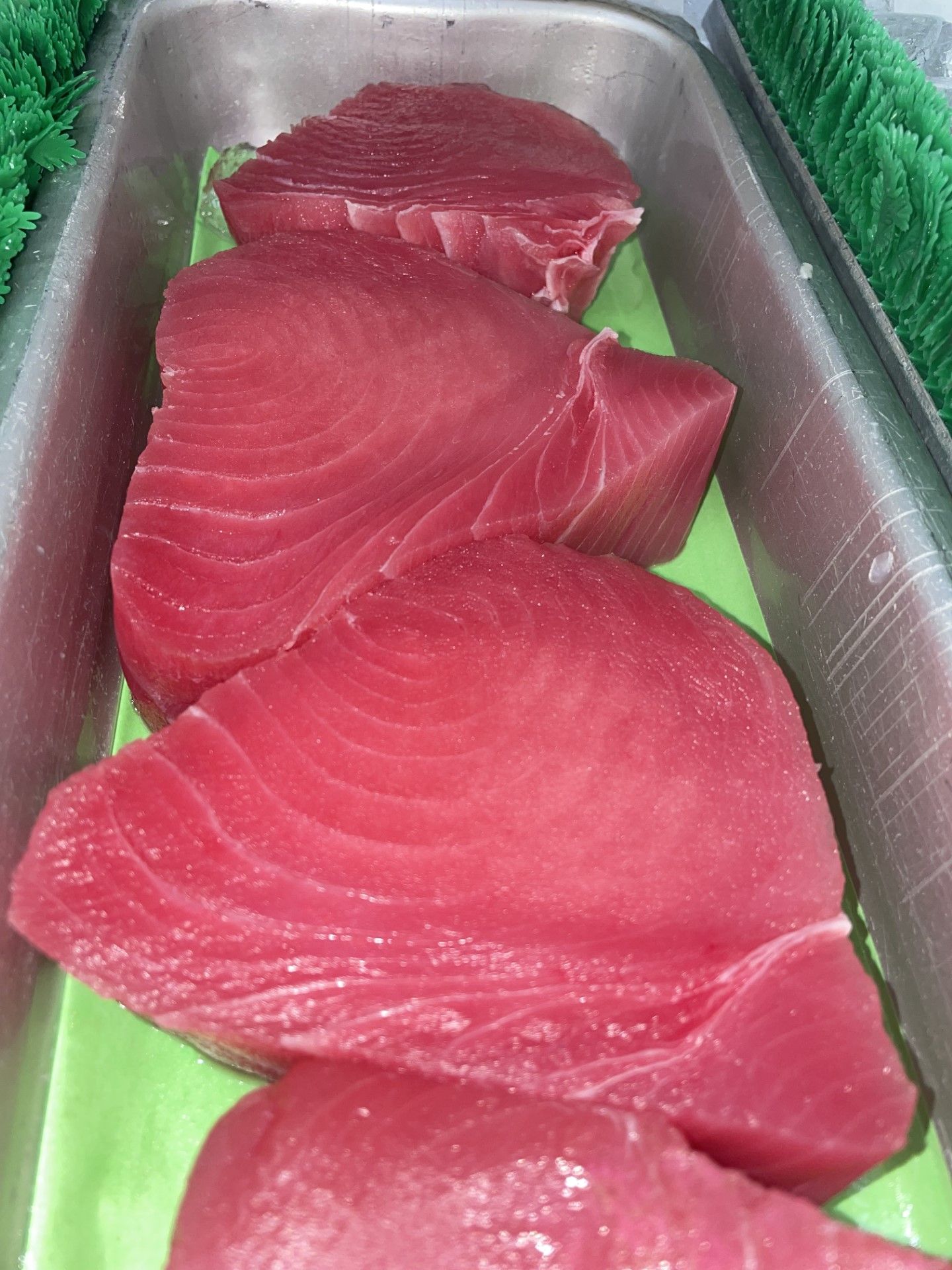 Tuna, Sea Bass and Cod Fish Sales | Wakefield, RI