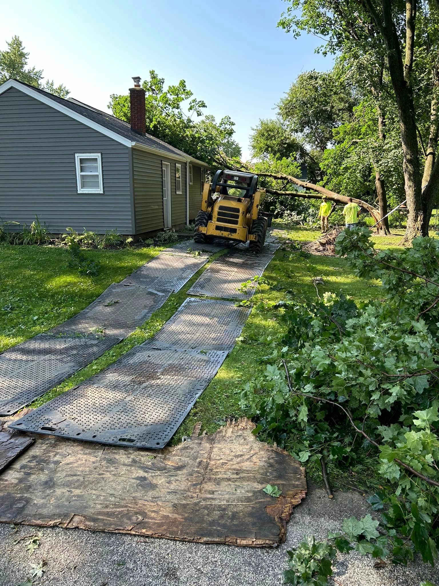 Tree Service | Oregon, IL | Grover Tree Company