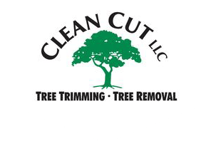 Tree Service Cumberland, WI | Rice Lake, WI | Clean Cut, LLC
