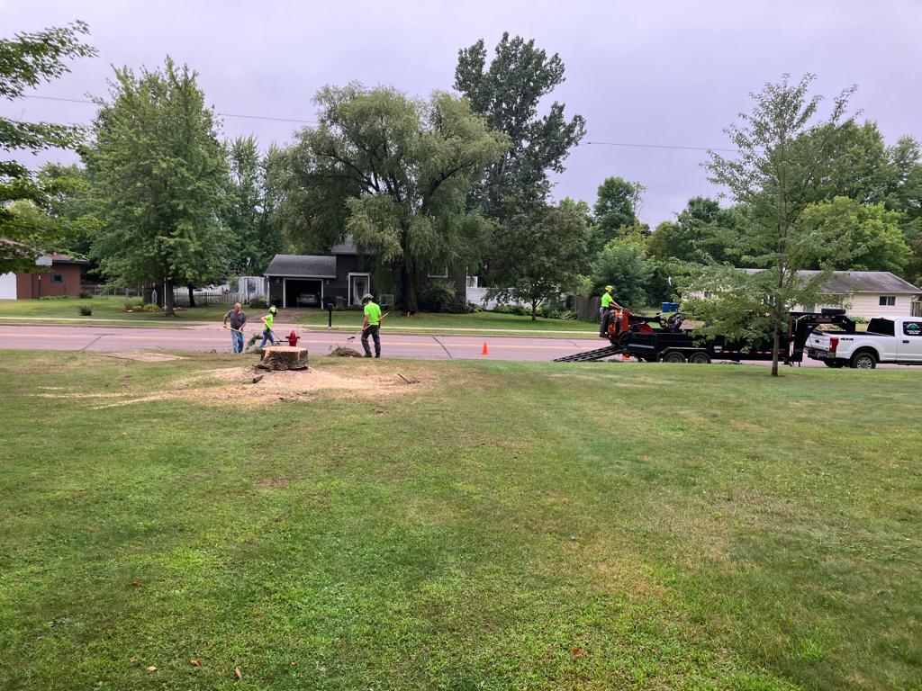 Gallery | Clean Cut, LLC