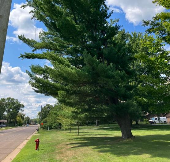 Gallery | Clean Cut, LLC