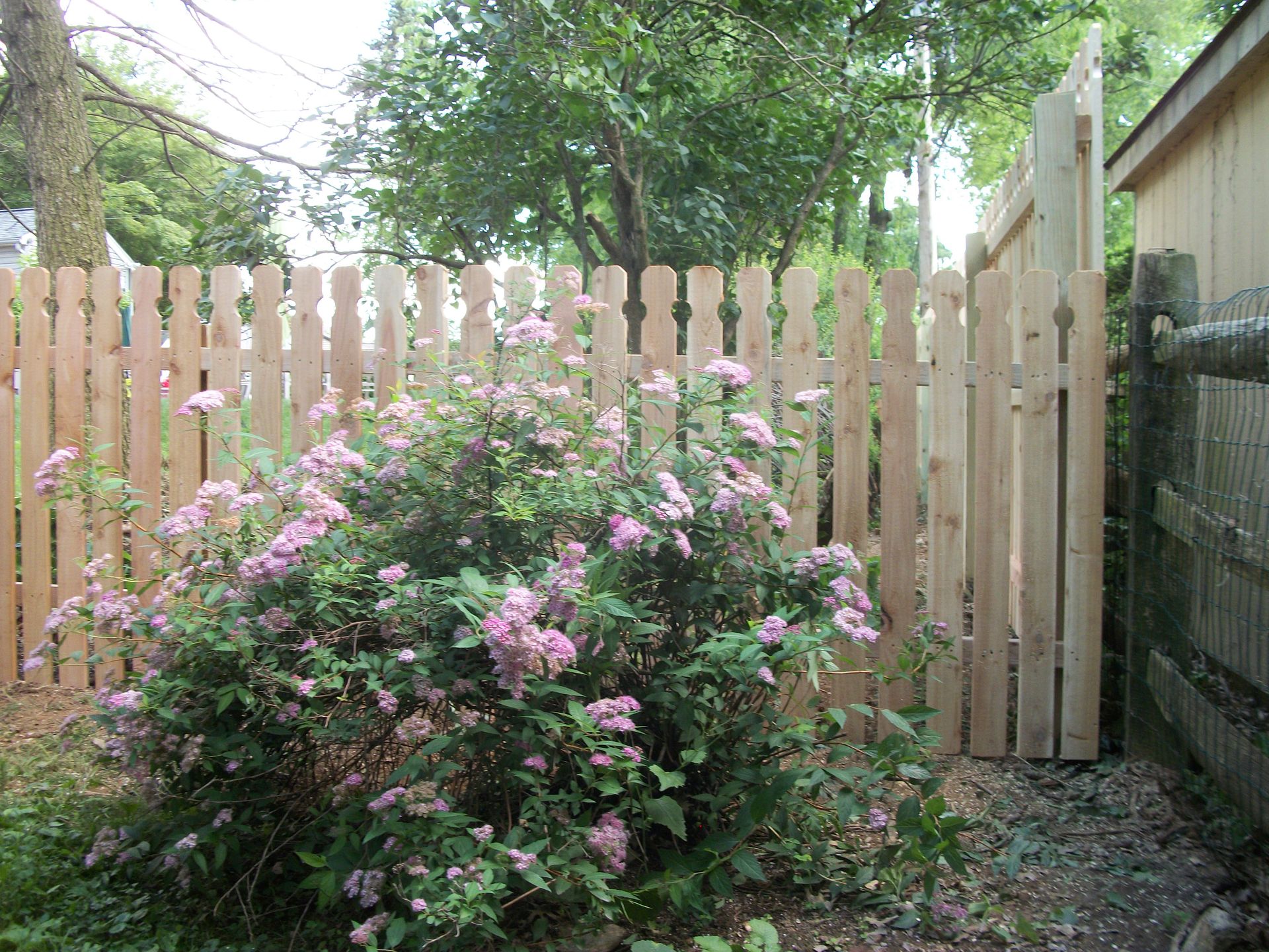 Gallery | Esch's Fencing