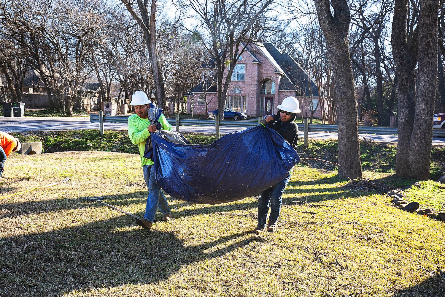 Project Gallery | B&M Tree Service