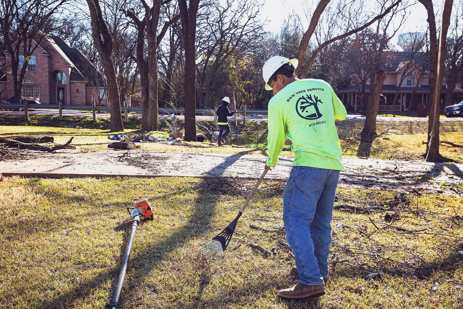 Project Gallery | B&M Tree Service