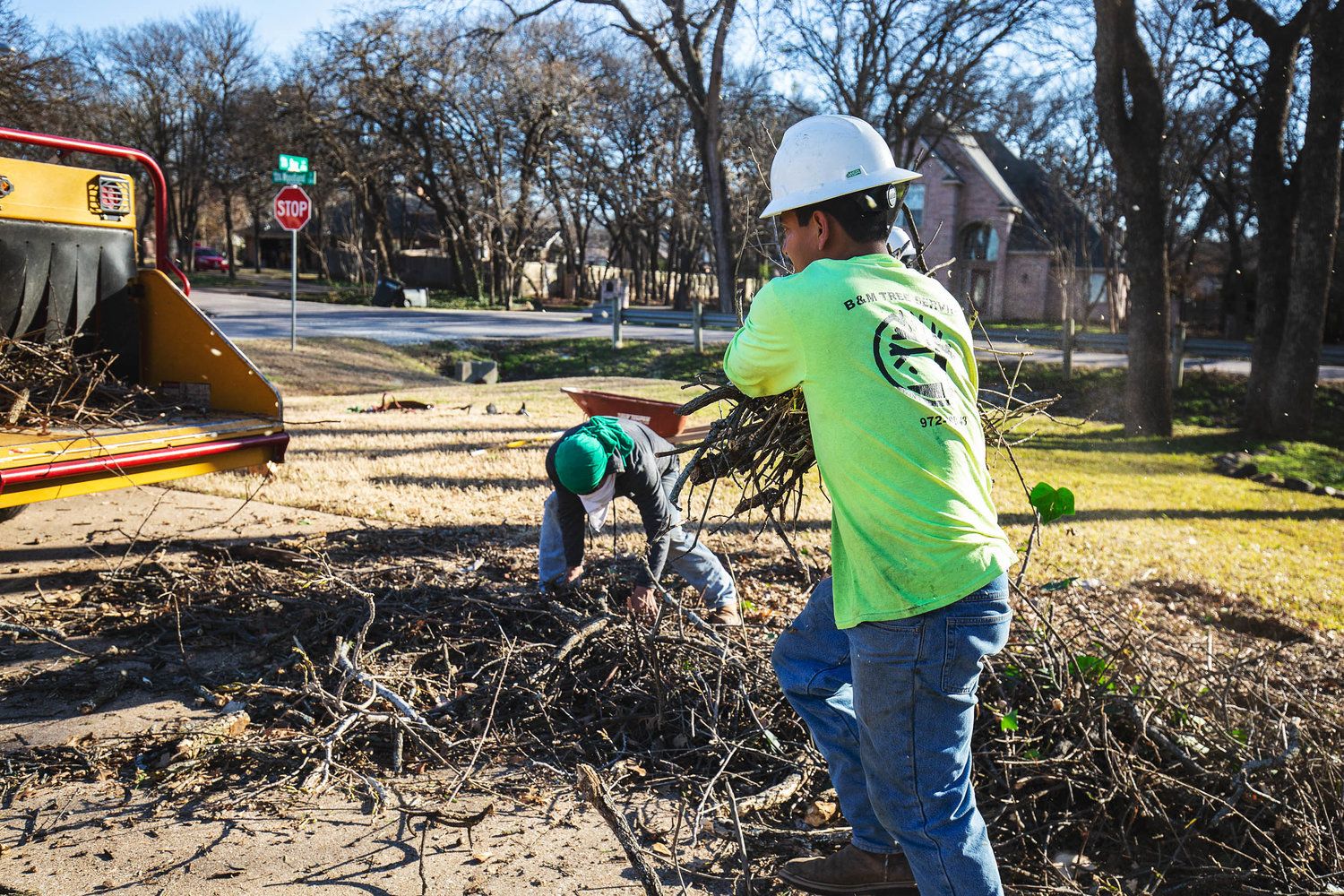 Project Gallery | B&M Tree Service