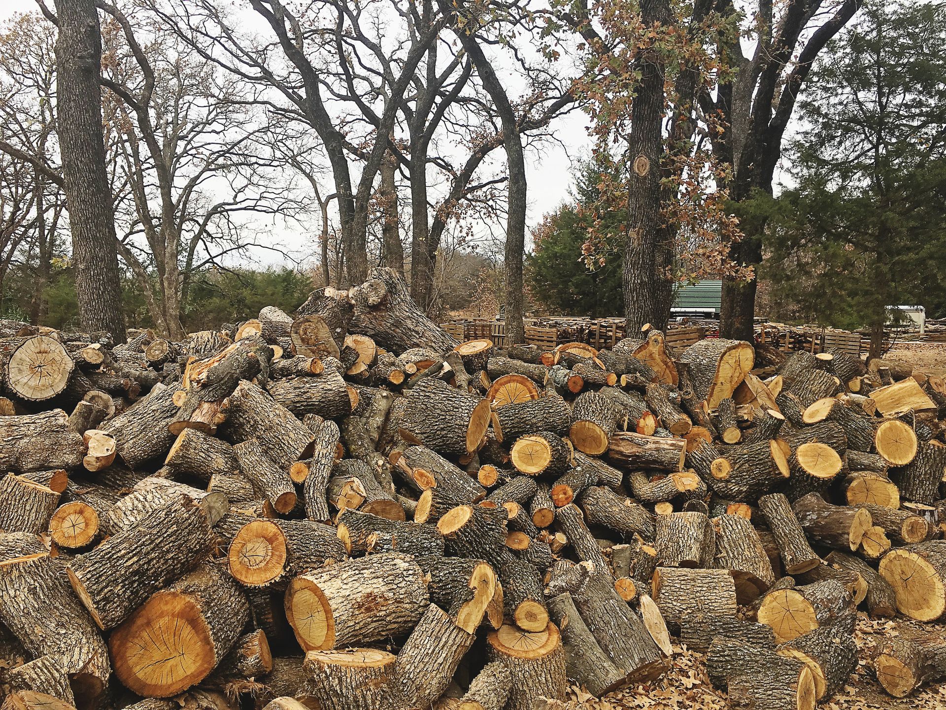 Firewood Sales and Delivery Services | Keller, TX