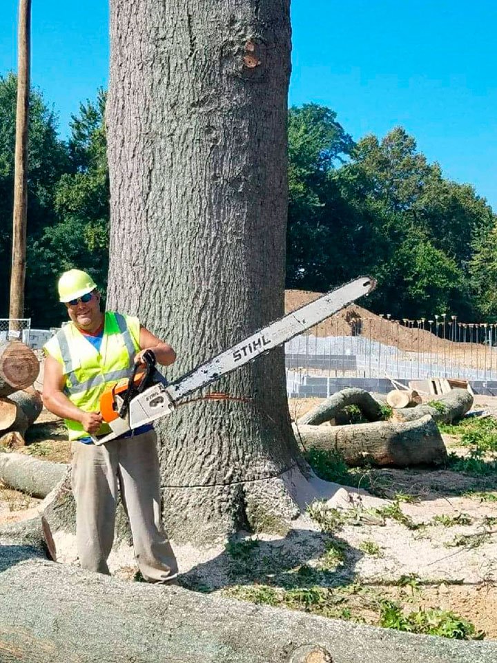 Tree Service | Jorge's Tree Service, LLC | York, PA | Hanover, PA