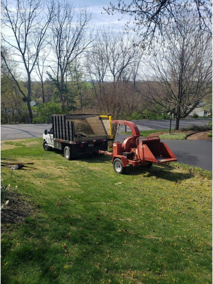Tree Removal | Tree Services | York, PA | Hanover, PA