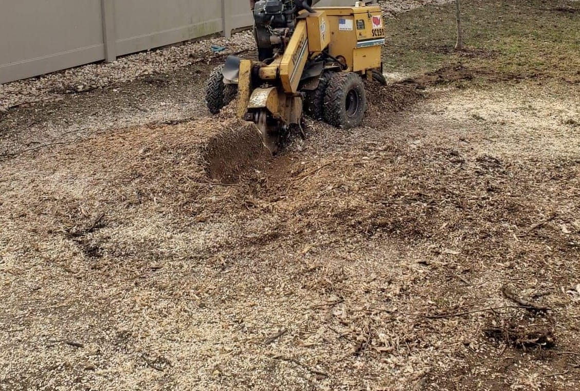 Tree Service | Jorge's Tree Service, LLC | York, PA | Hanover, PA