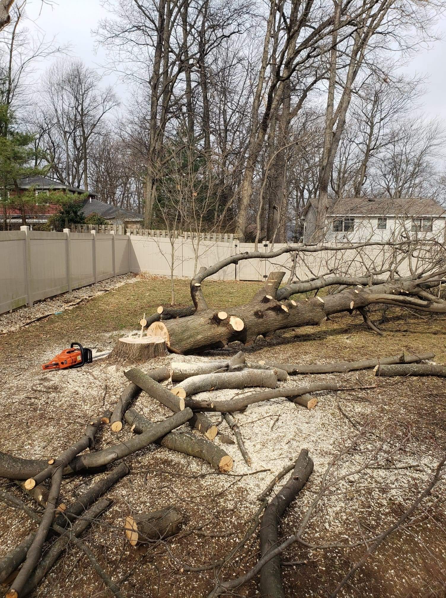 Tree Service | Jorge's Tree Service, LLC | York, PA | Hanover, PA