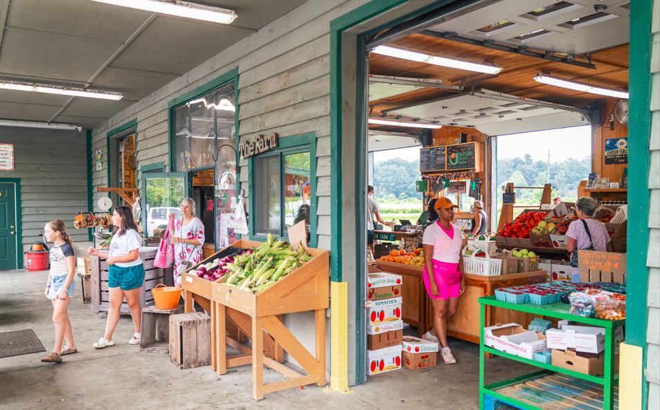 Farm Near Me | Johnson Family Farm