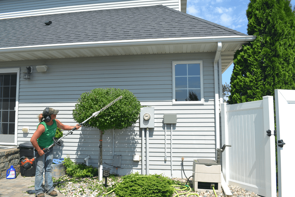Hedge Trimming Gallery