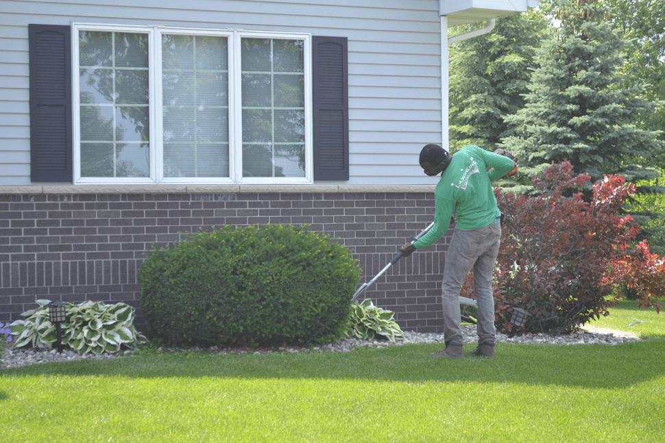 Hedge Trimming Gallery