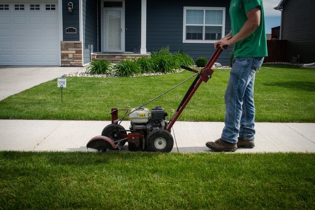 Steel Blade Edging Gallery
