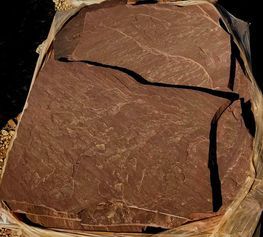 Flagstone | Windsor, CO