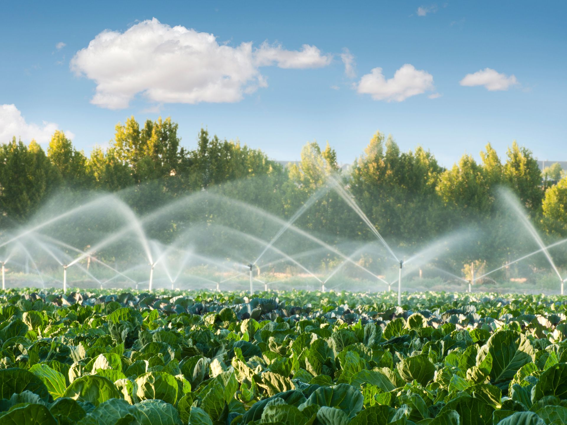 Is it Time to Replace Your Irrigation System?
